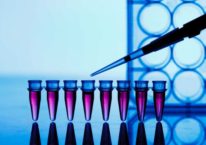 i-DNA – Biotechnology Pte Ltd – Path To Discovery